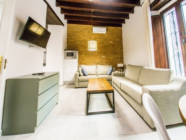 Triana Apartment- Catedral, Sevilla (Capital) - Disponibilidad y reservas 2024 - Casasrurales.net